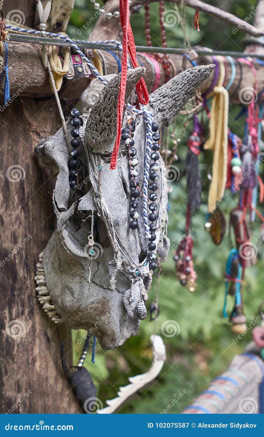 Skull on a Place of Worship of Pagan Gods. 1. Stock Image - Image of ...