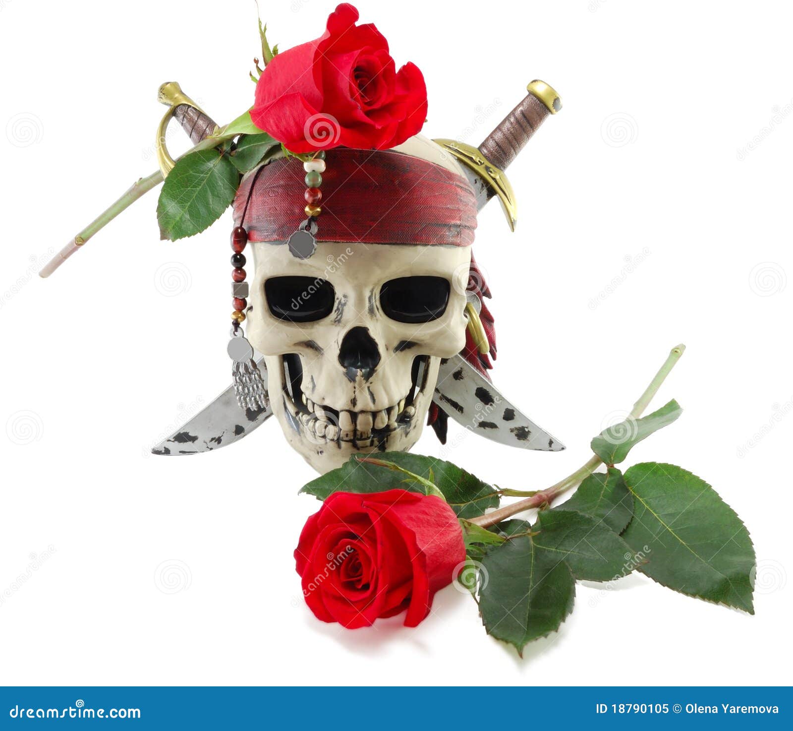 Skull and Red Rose stock image. Image of dead, shock - 18790105