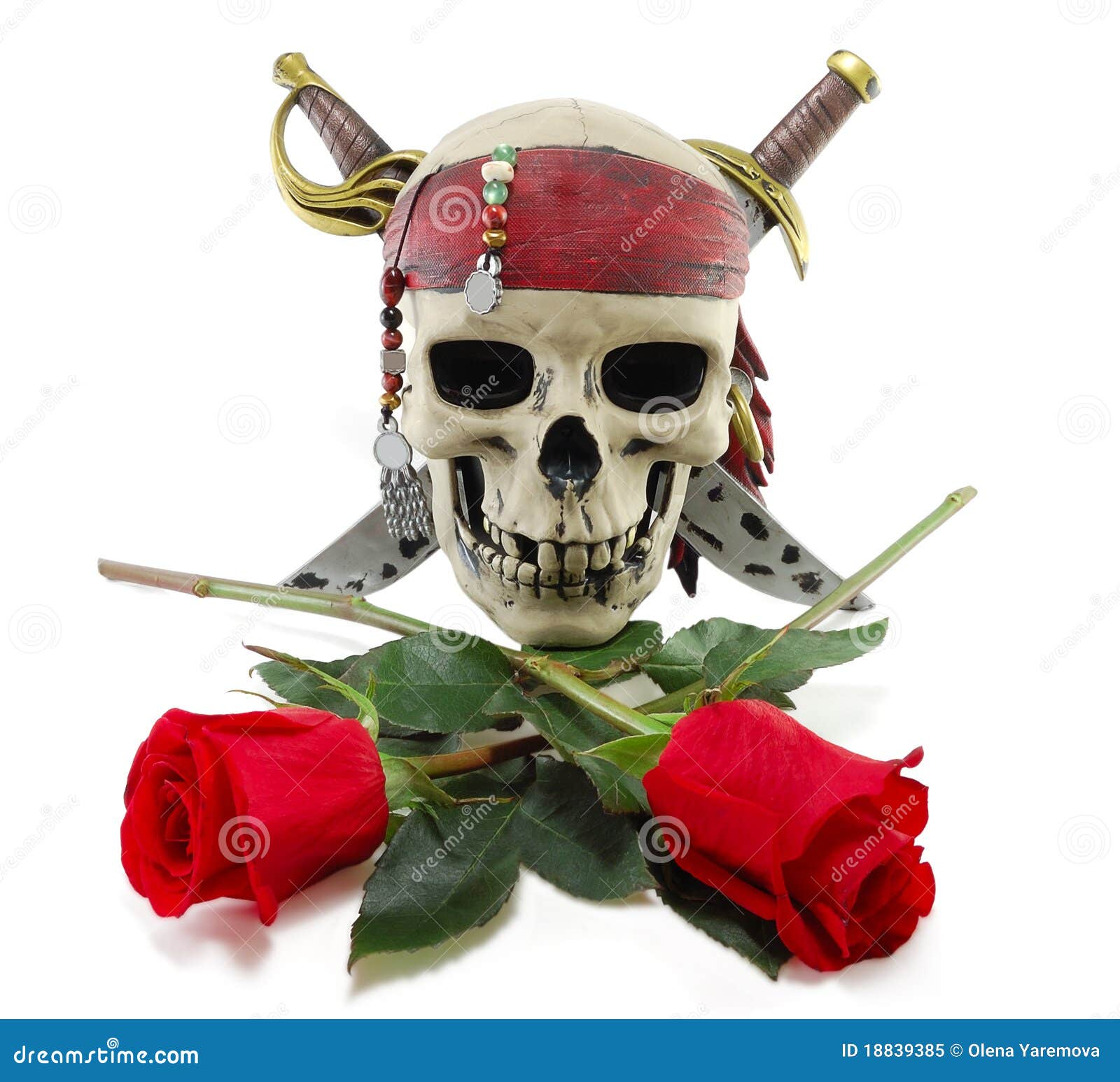 Skull and red rose stock image. Image of rose, flower - 18839385