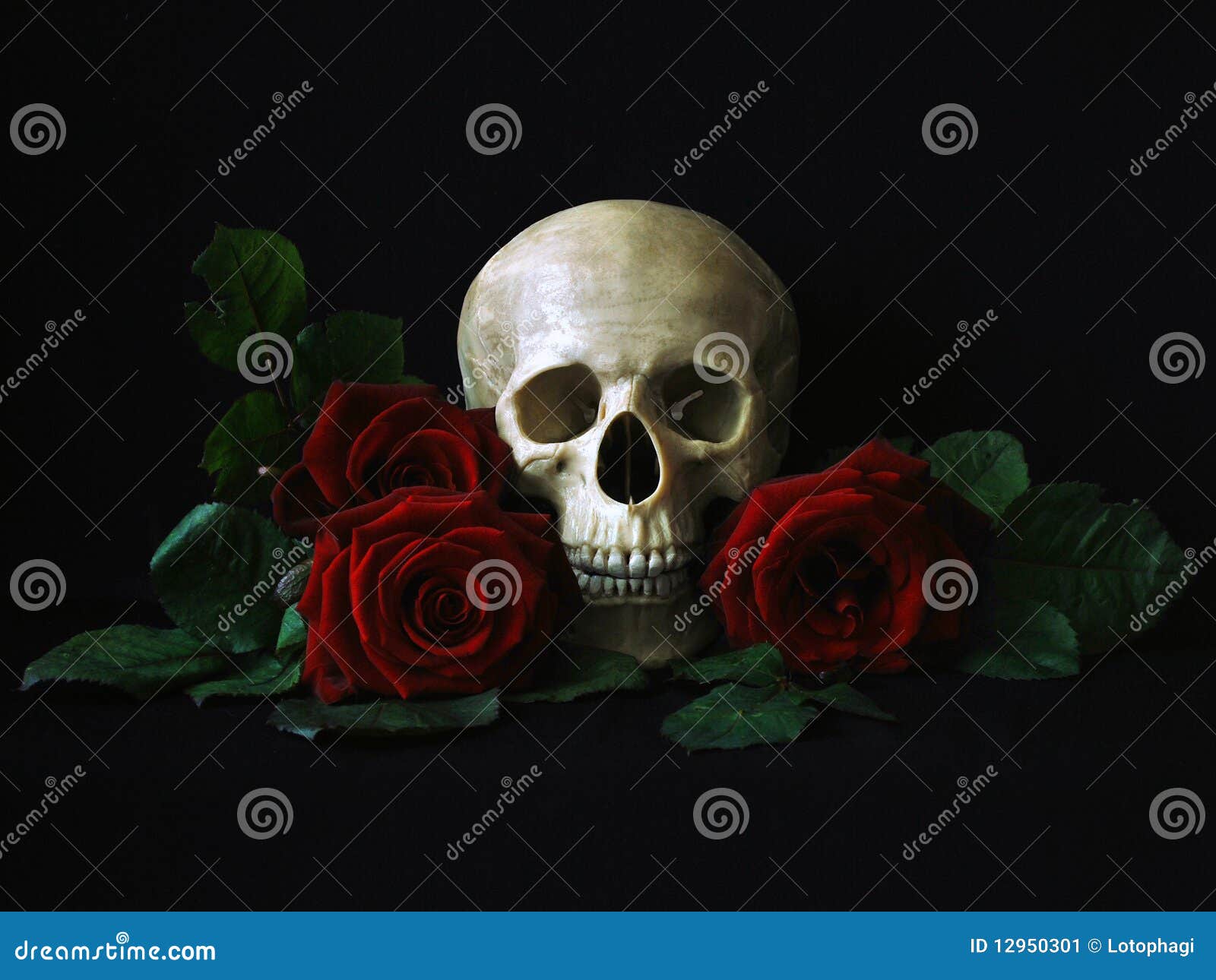 Skull with red roses stock illustration. Illustration of filigree ...