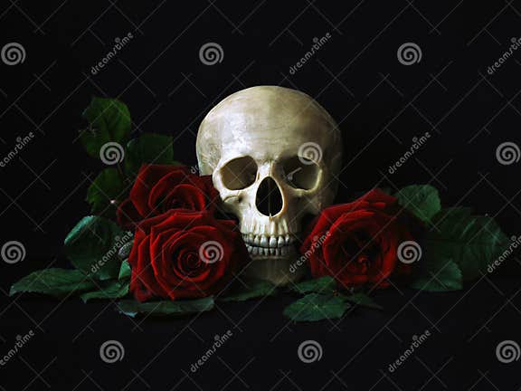Skull with red roses stock illustration. Illustration of filigree ...