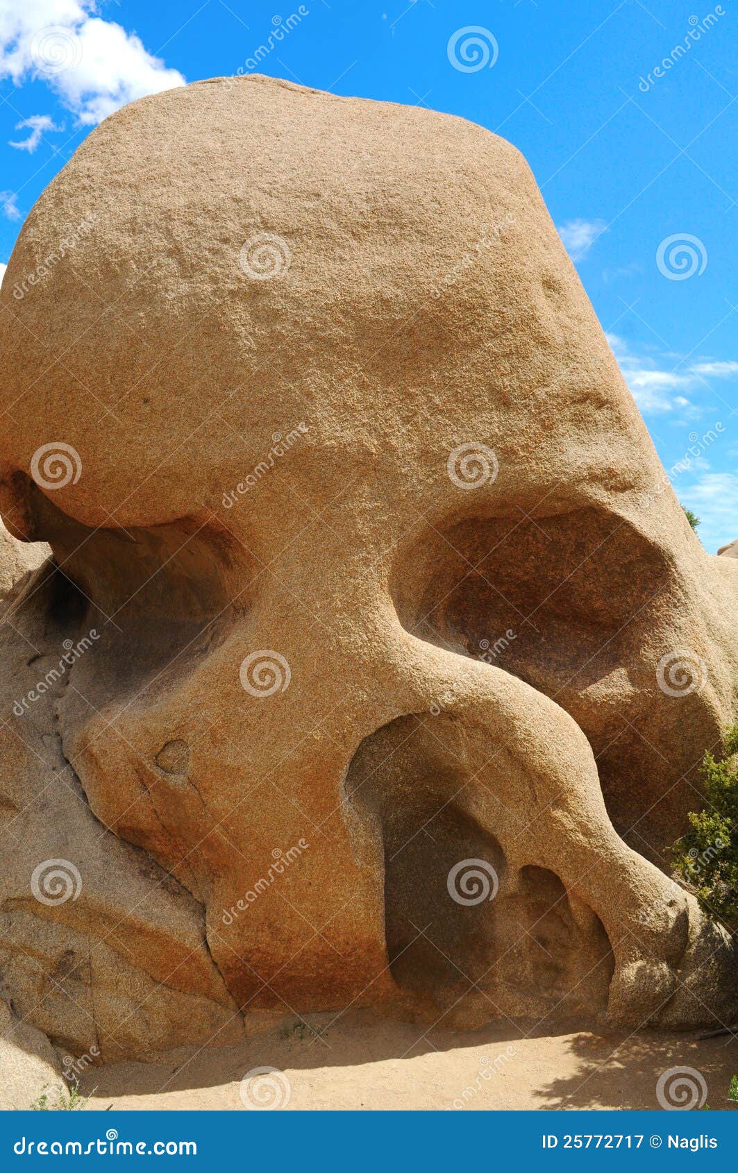 Skull Rock stock image. Image of brush, outside, bush - 25772717