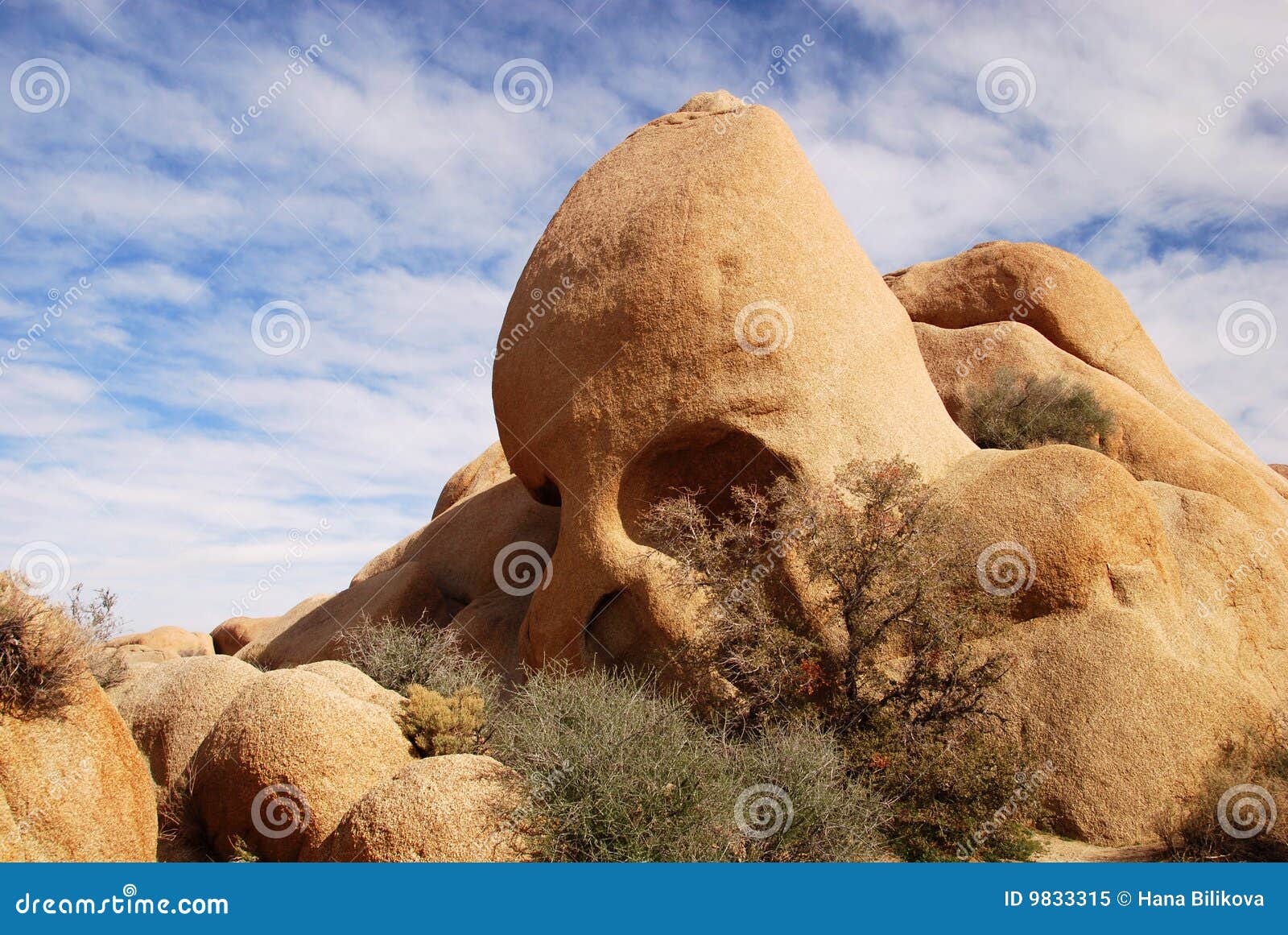 Skull Rock stock image. Image of hike, formations, gardens - 9833315