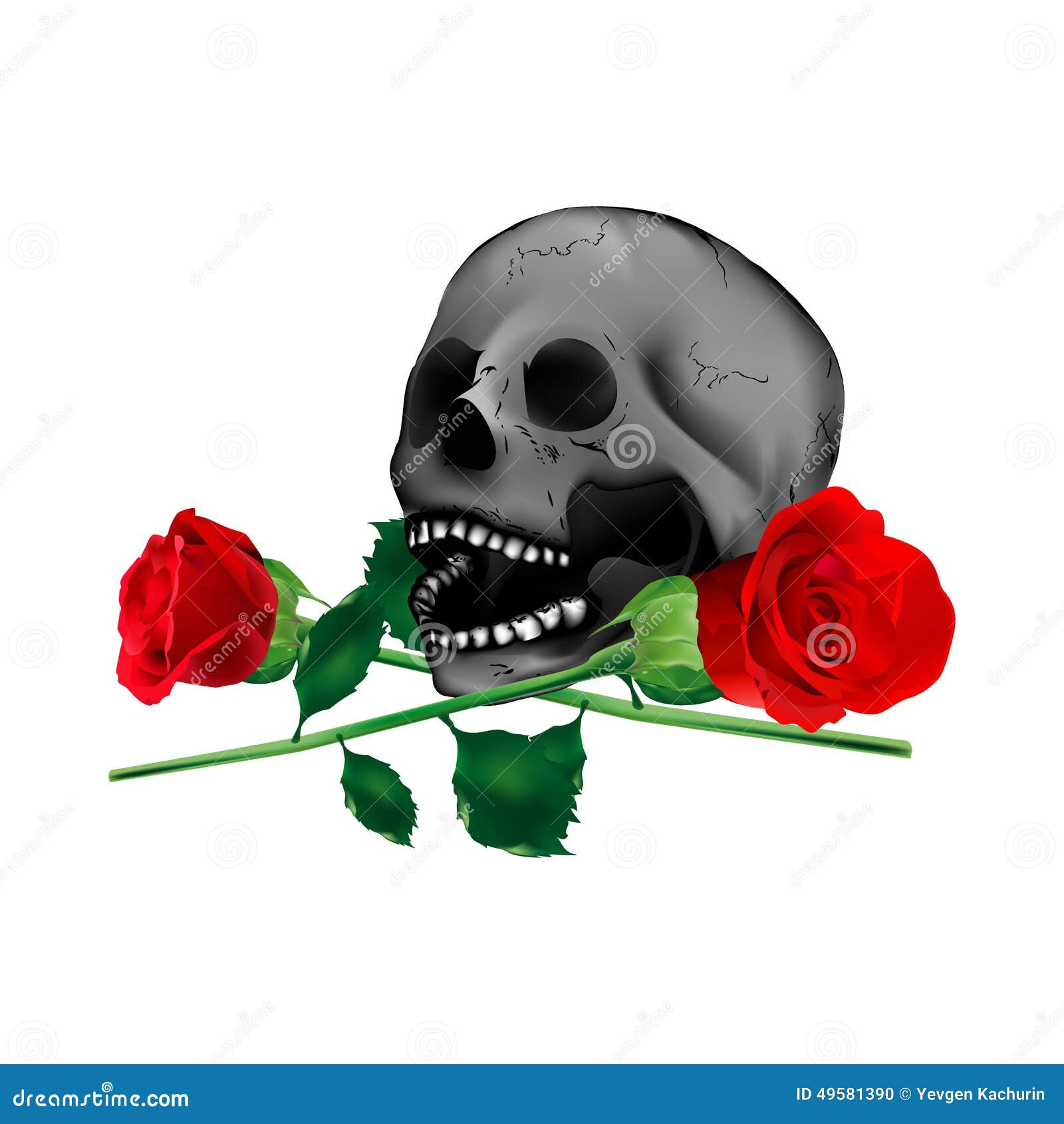 Skull and roses stock vector. Illustration of wallpaper - 49581390