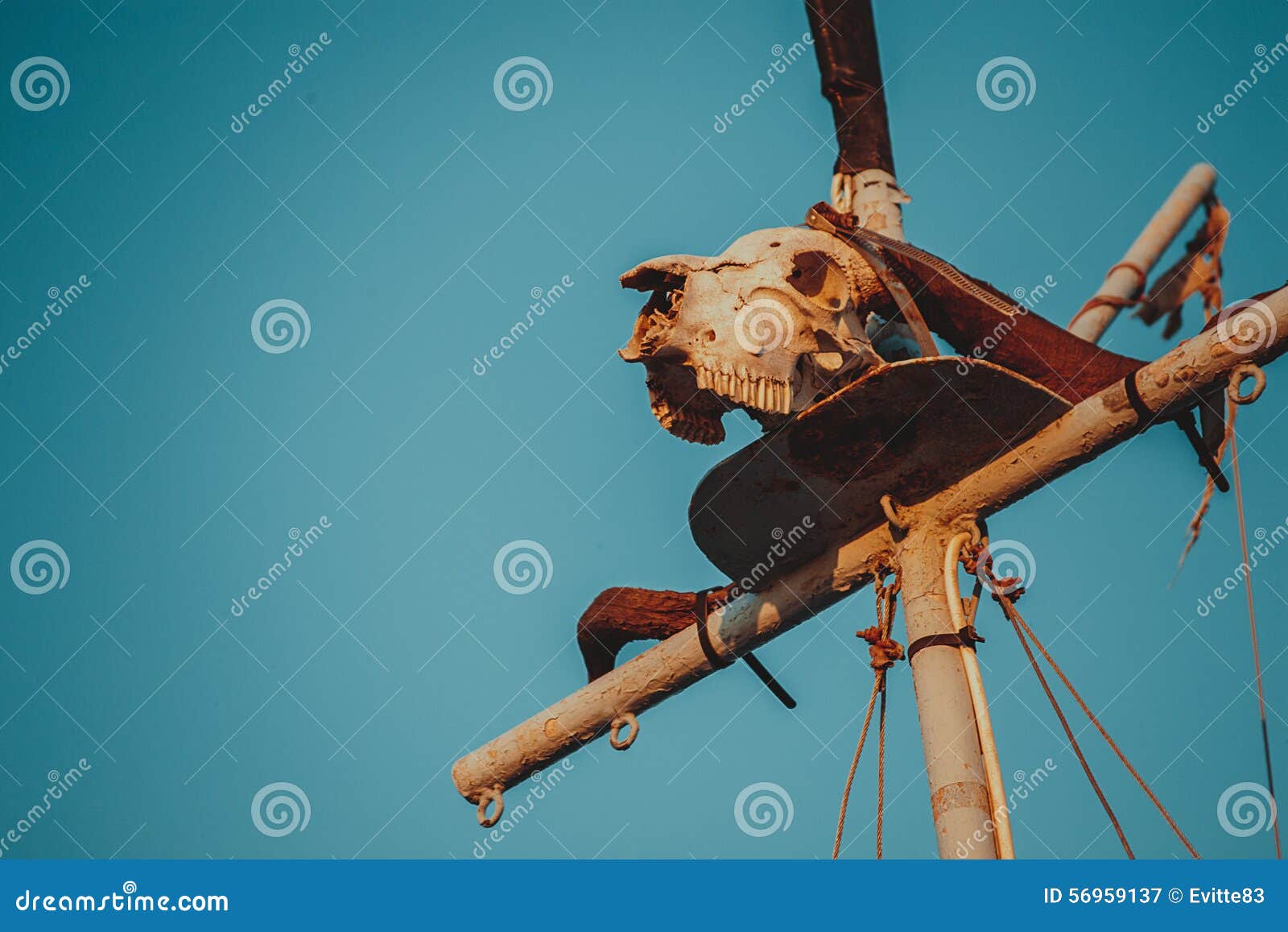 Skull on sailing ship stock image. Image of blue, city - 56959137