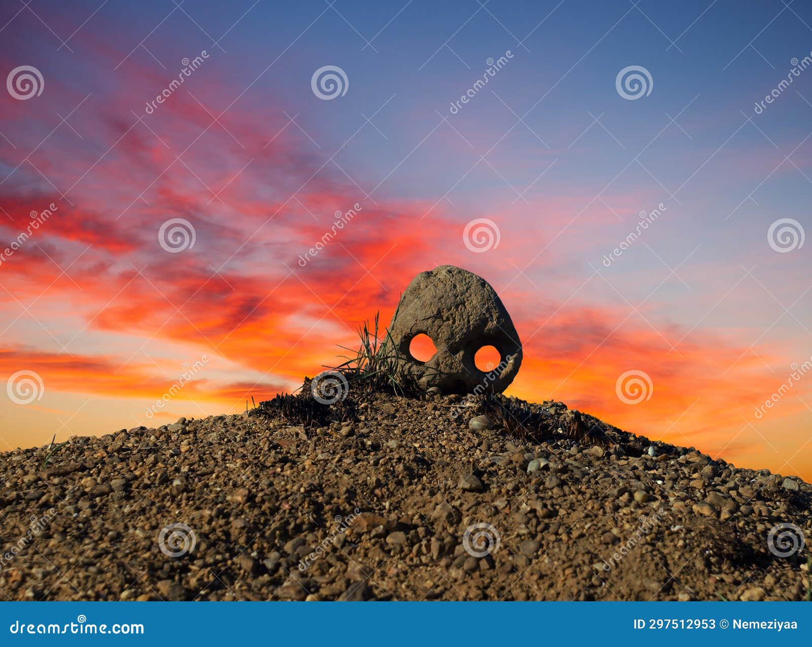 Skull on sand in desert stock image. Image of head, skull - 297512953