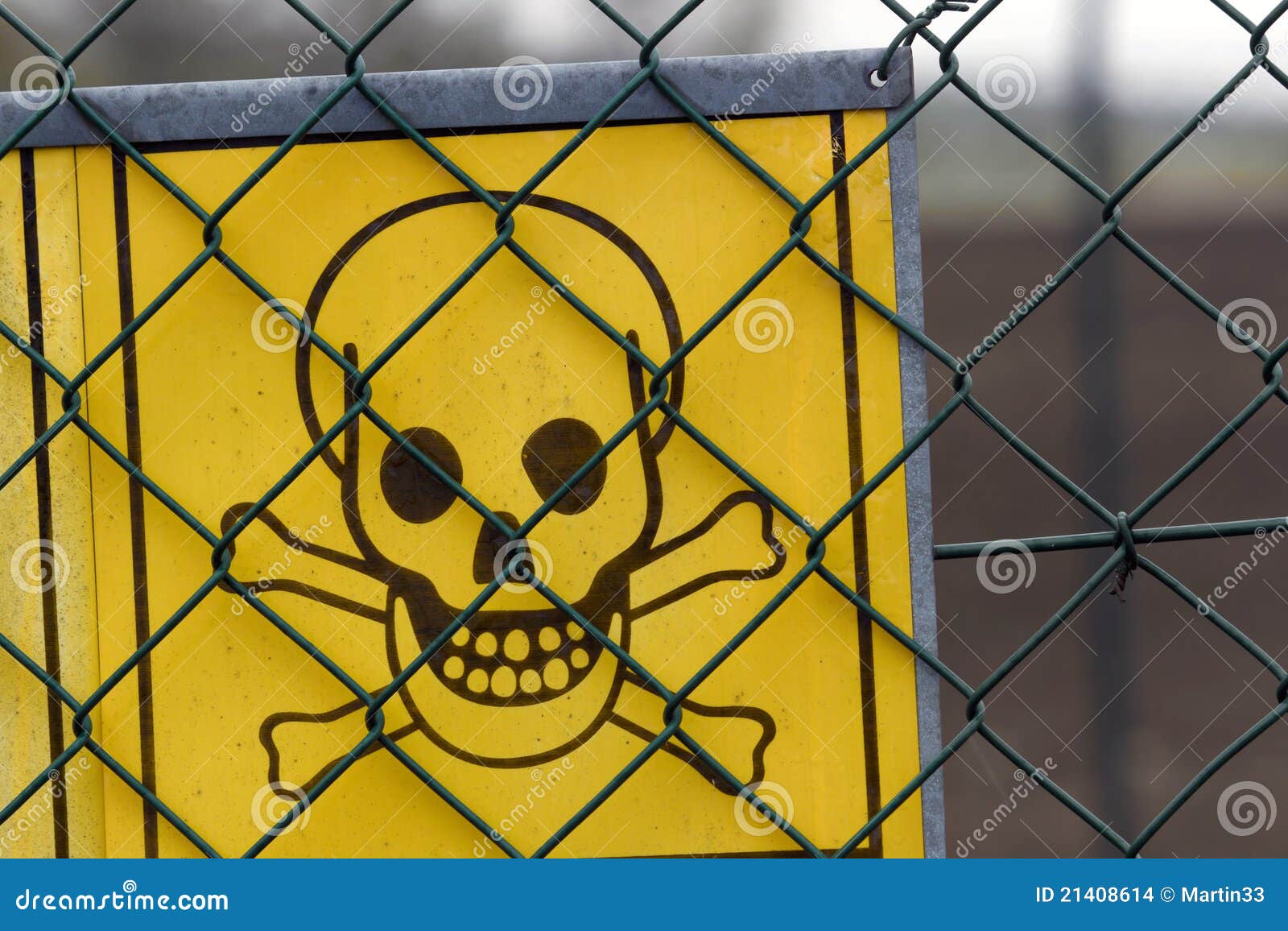 Skull sign stock photo. Image of border, symbol, toxic - 21408614