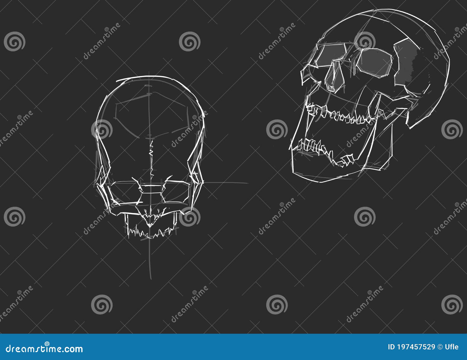 Skull Sketch with Open Mouth on Black Background in Different Angles ...
