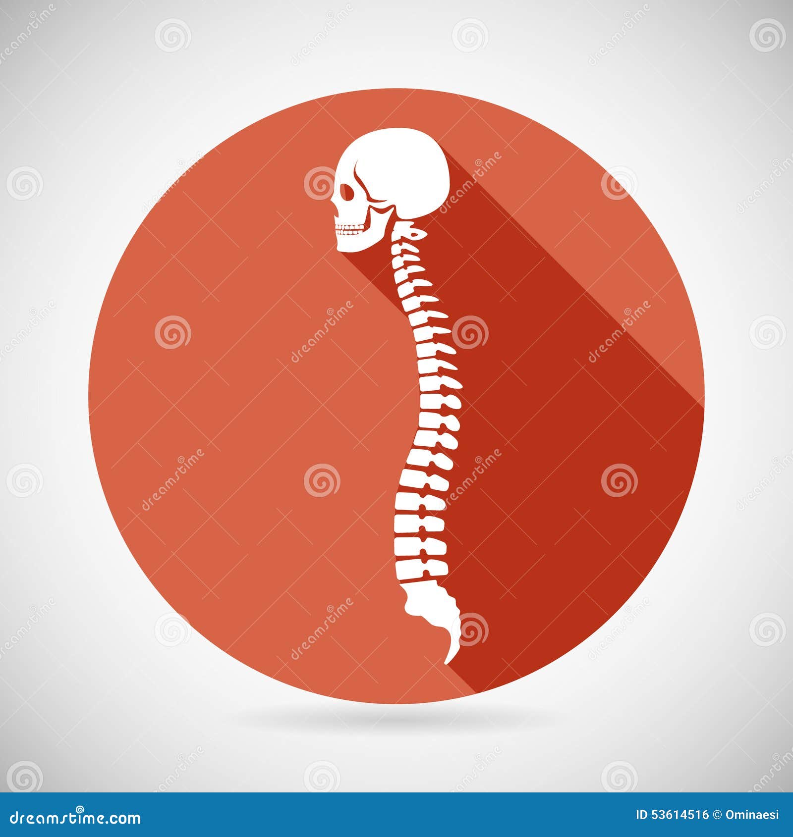 Skull and Spine Icon Symbol Concept Flat Design Stock Vector ...