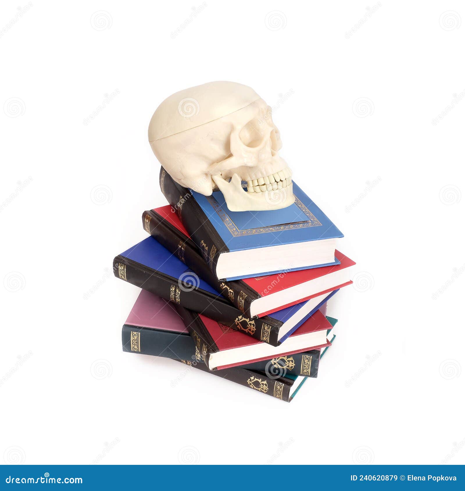 Skull on a Stack of Books. Isolated on White Background Stock Image ...