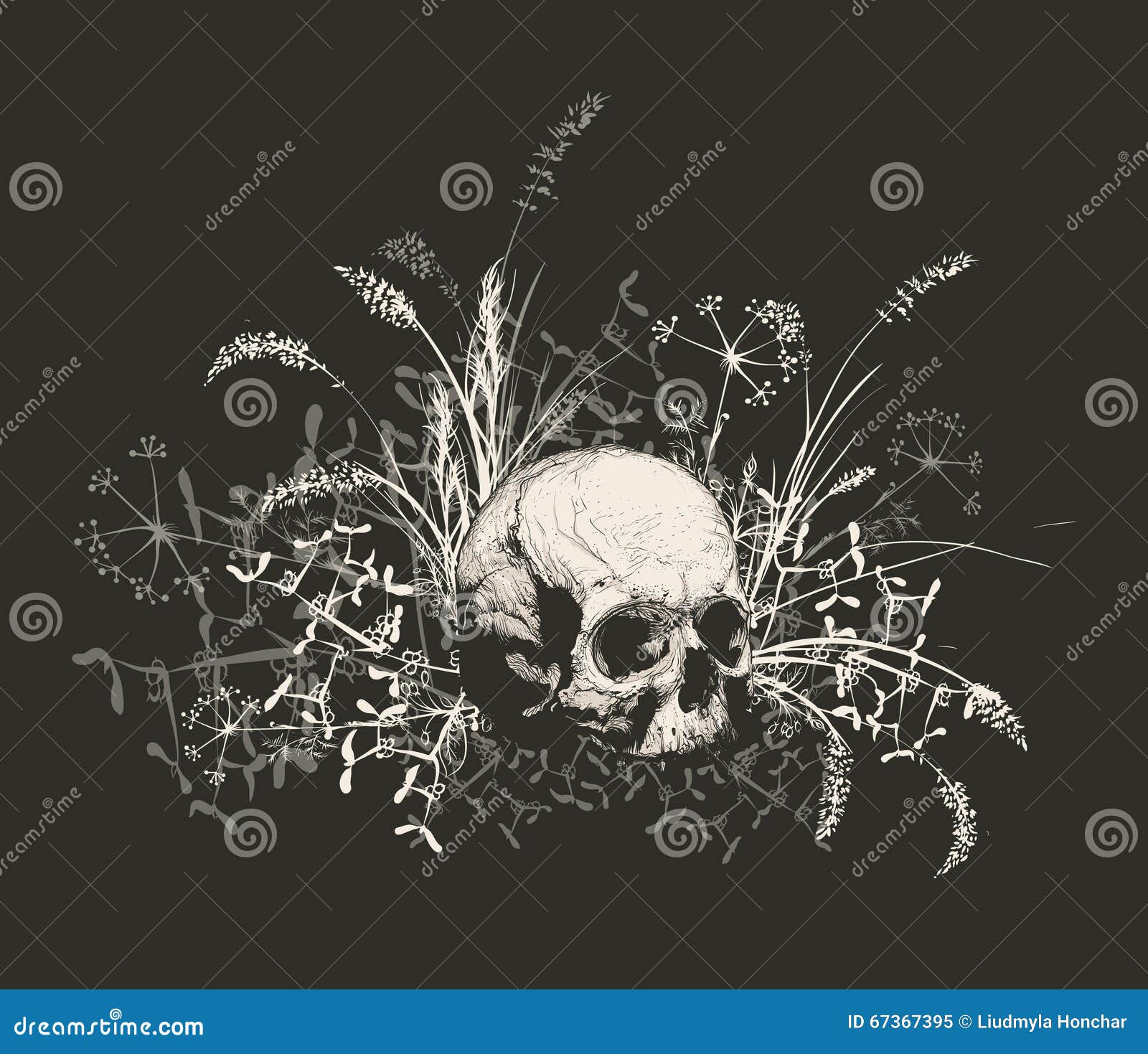 Skull Surrounded by a Field of Grass. Stock Vector - Illustration of ...