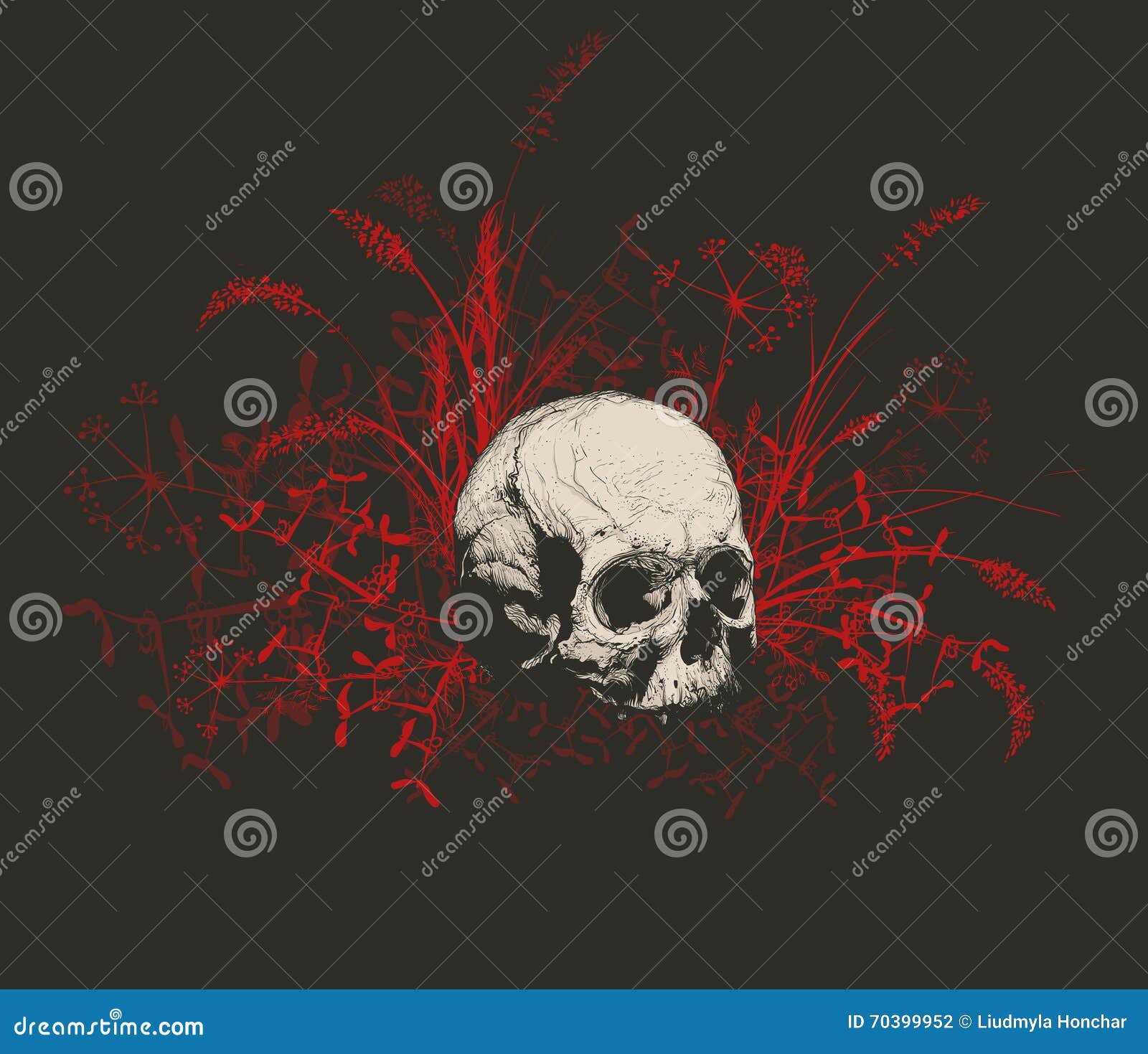 Skull Surrounded by a Field of Grass. Stock Vector - Illustration of ...