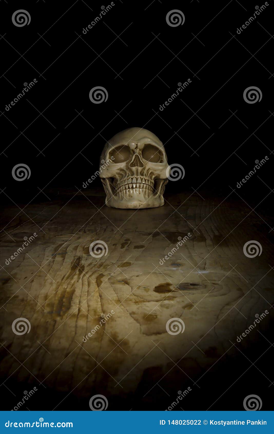 Skull on the table stock photo. Image of cover, group - 148025022