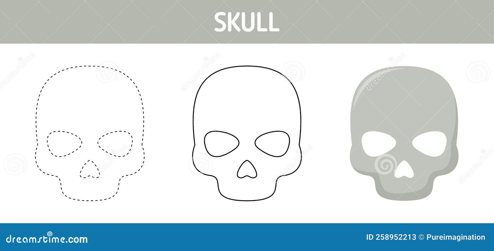 Skull Tracing and Coloring Worksheet for Kids Stock Vector ...