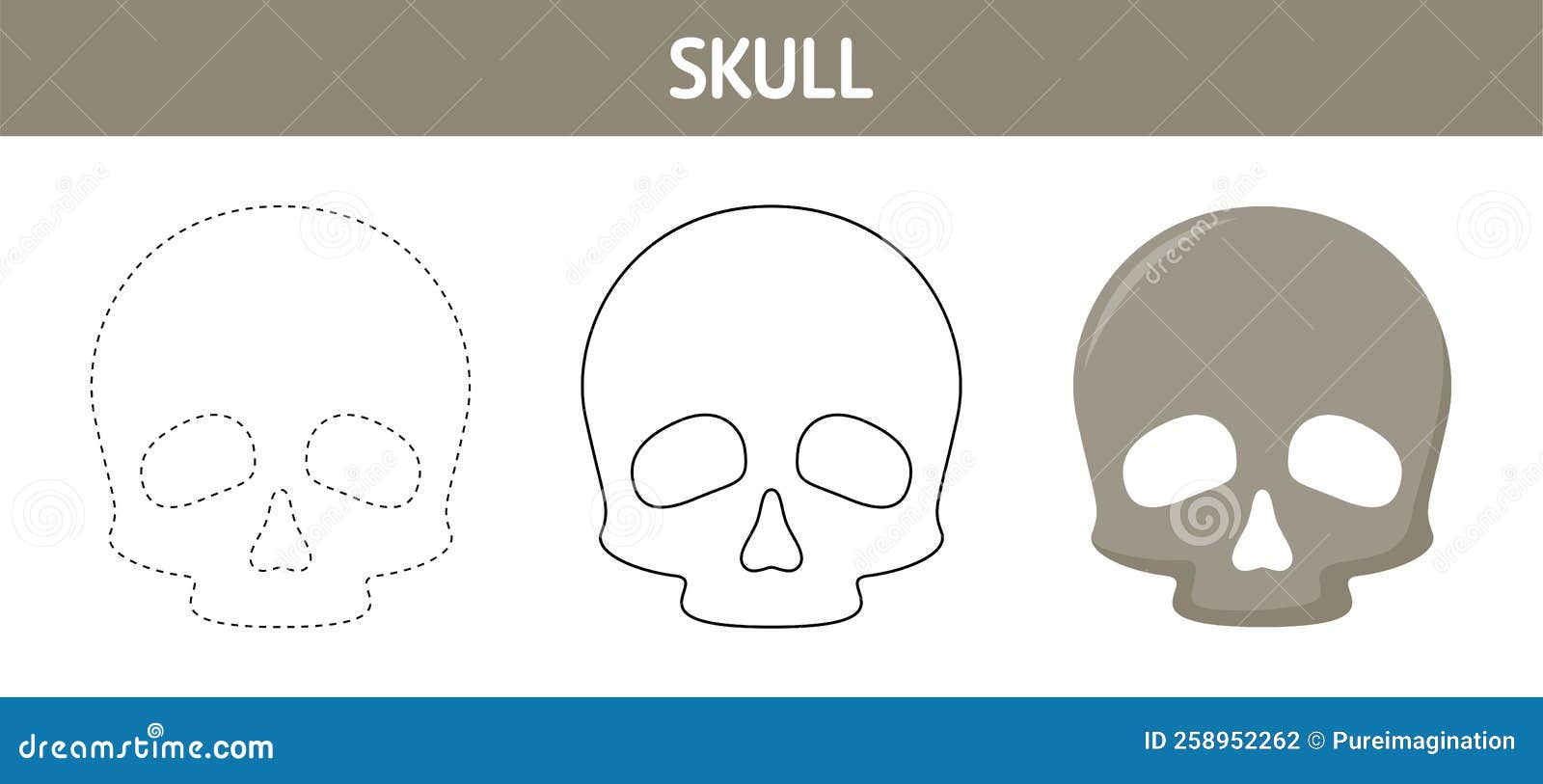 Skull Tracing and Coloring Worksheet for Kids Stock Vector ...