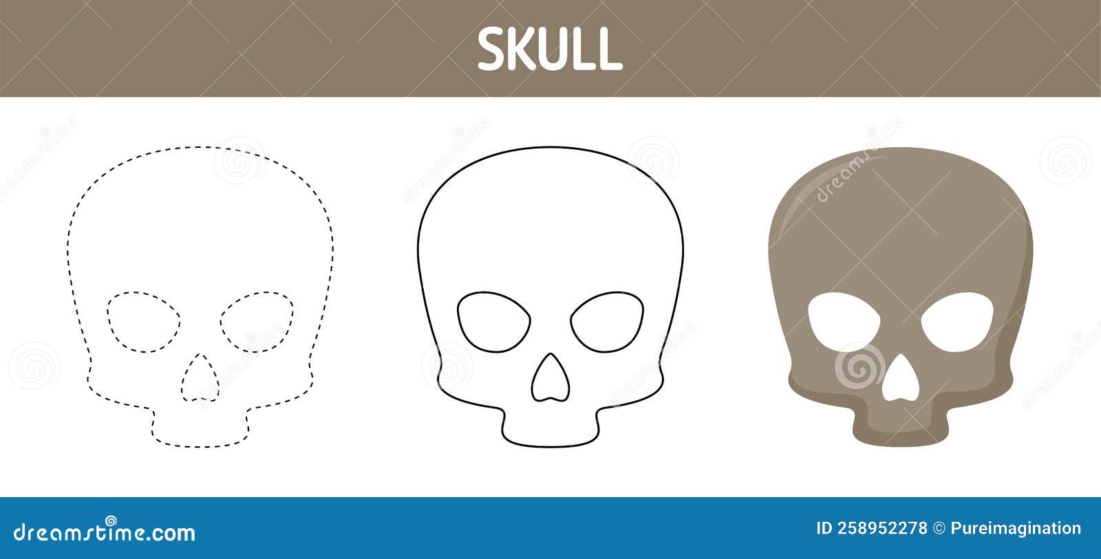 Skull Tracing and Coloring Worksheet for Kids Stock Vector ...