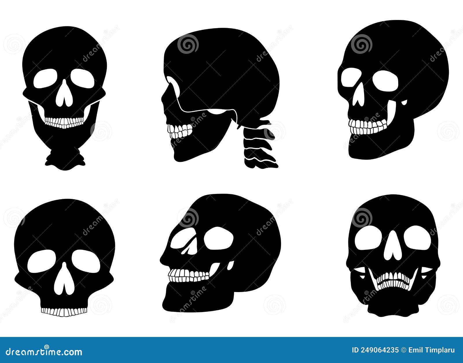 Skull Vector Design Illustration Isolated on White Background Stock ...