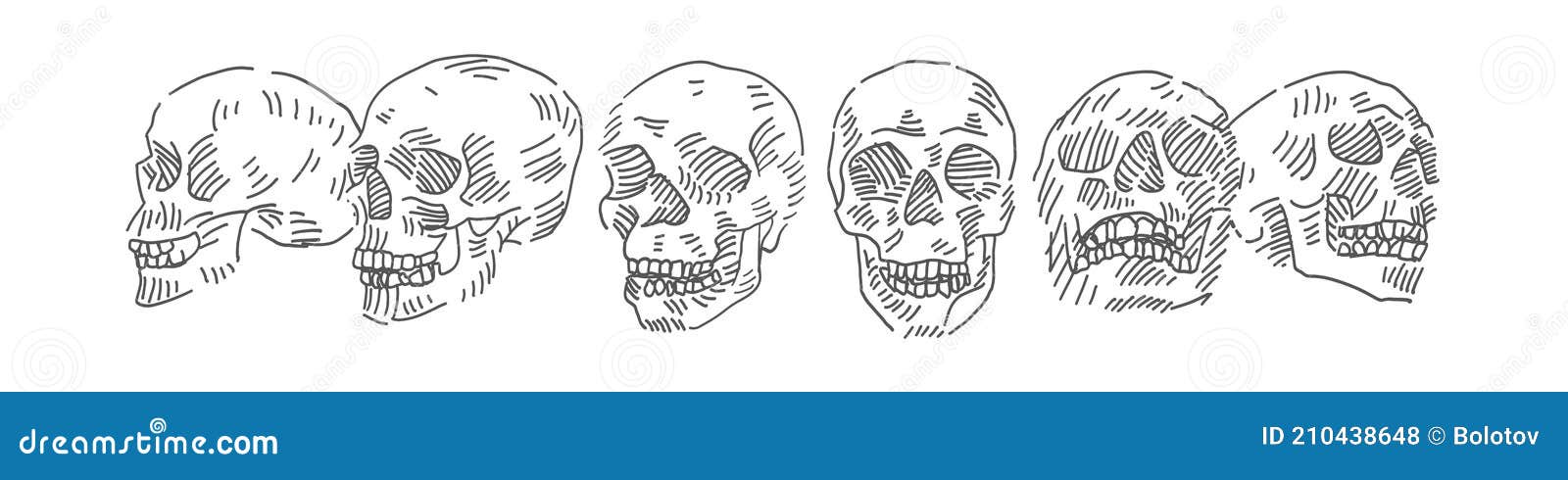 Skull Vector Doodle in Different Poses. Vector Doodle Set Stock Vector ...