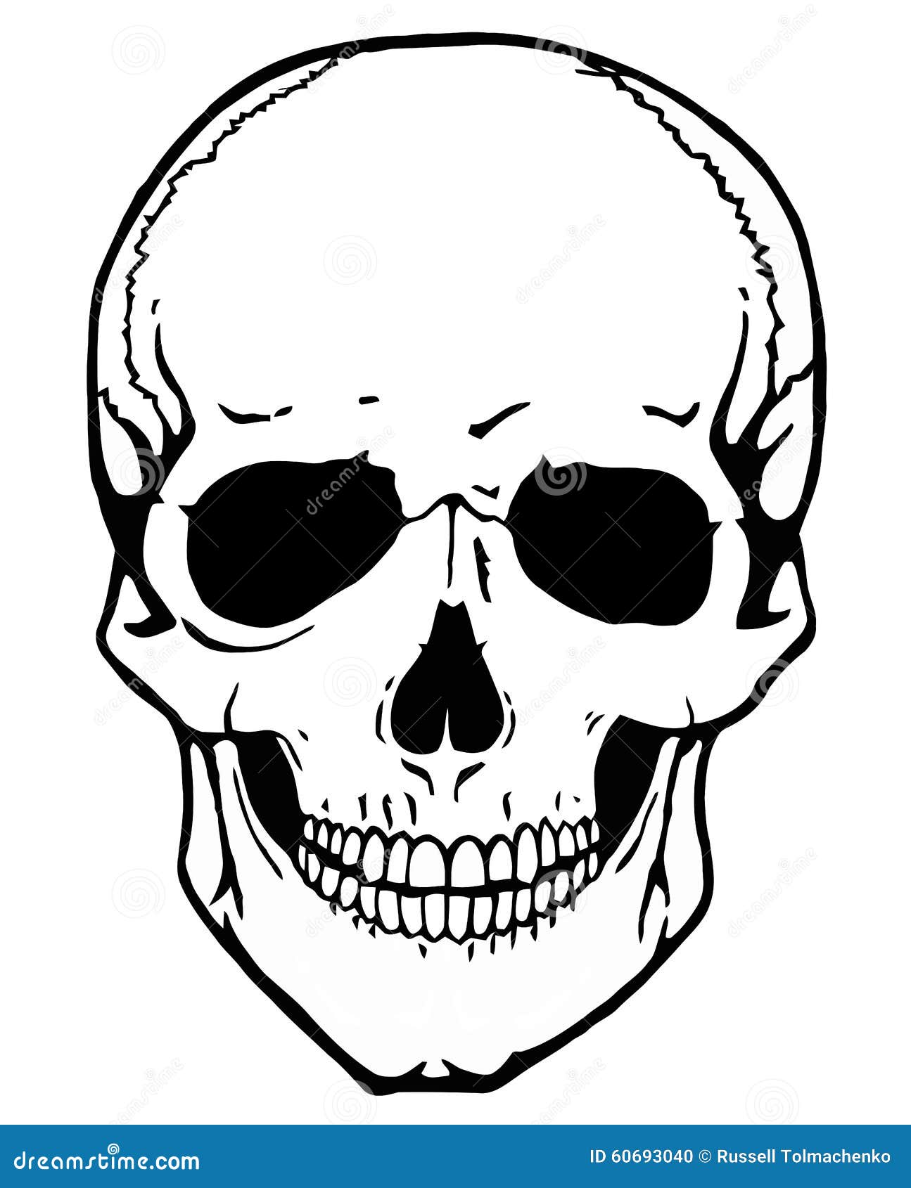 Skull vector stock vector. Illustration of lineart, horror - 60693040