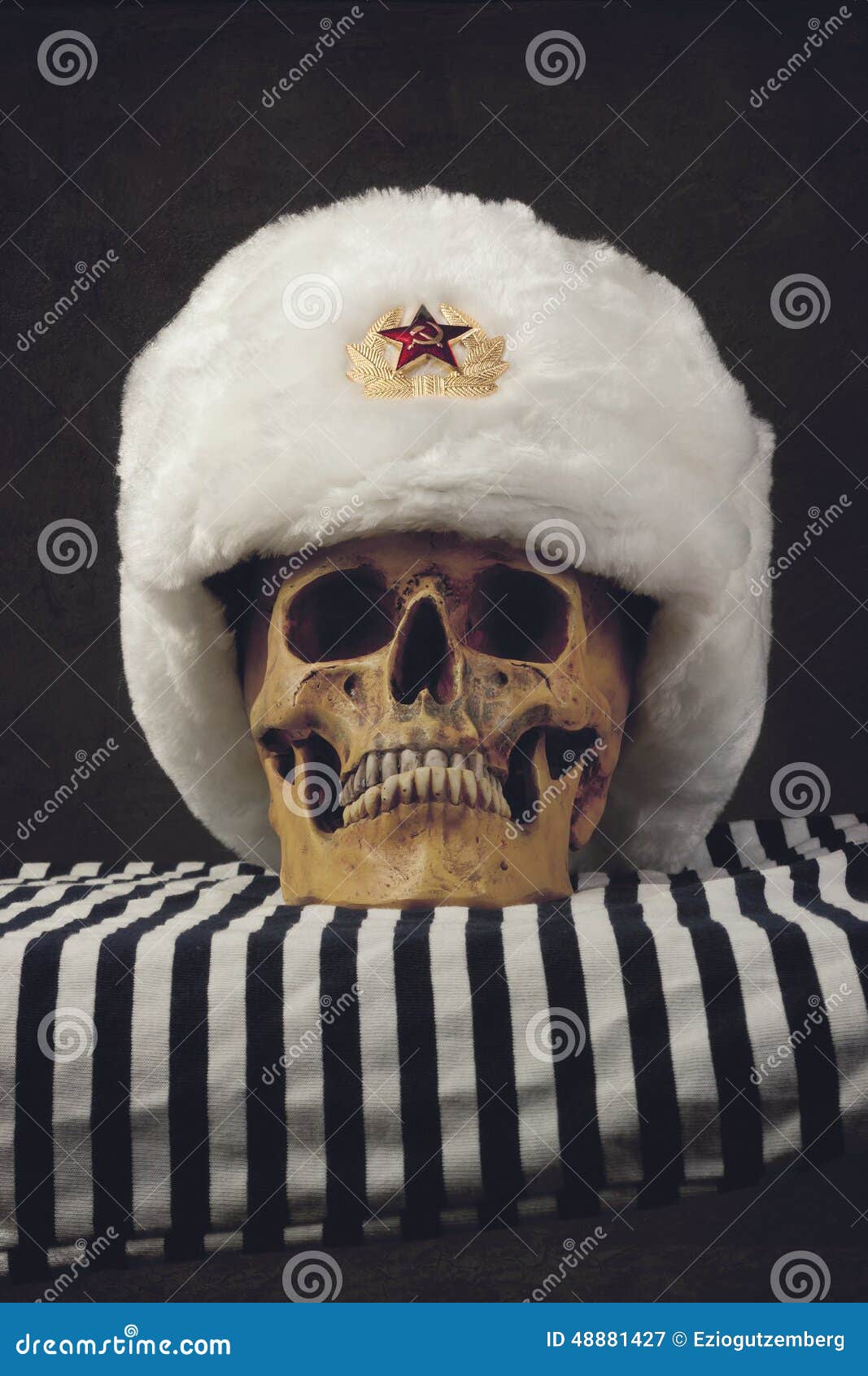 Skull with White Russian Uschanka Stock Image - Image of sign, bone ...