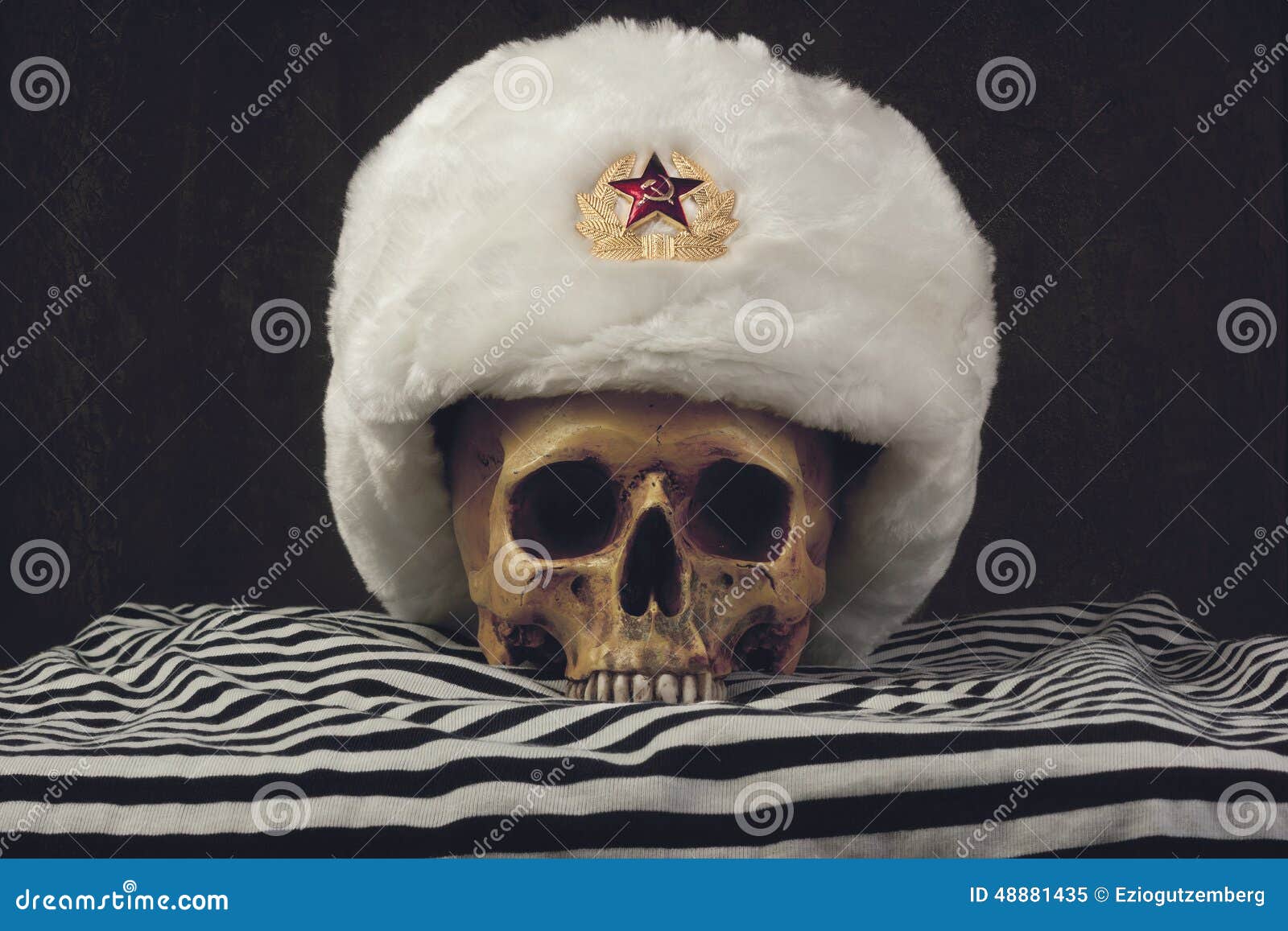 Skull With Russian Flag And Old Uschanka Royalty-Free Stock Photo ...