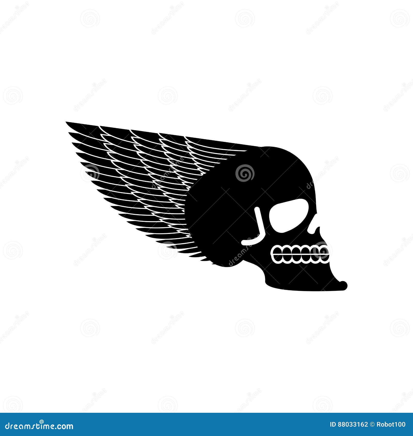 Skeleton And Wing Membranes Of The Noctule Bat Vintage Illustration ...