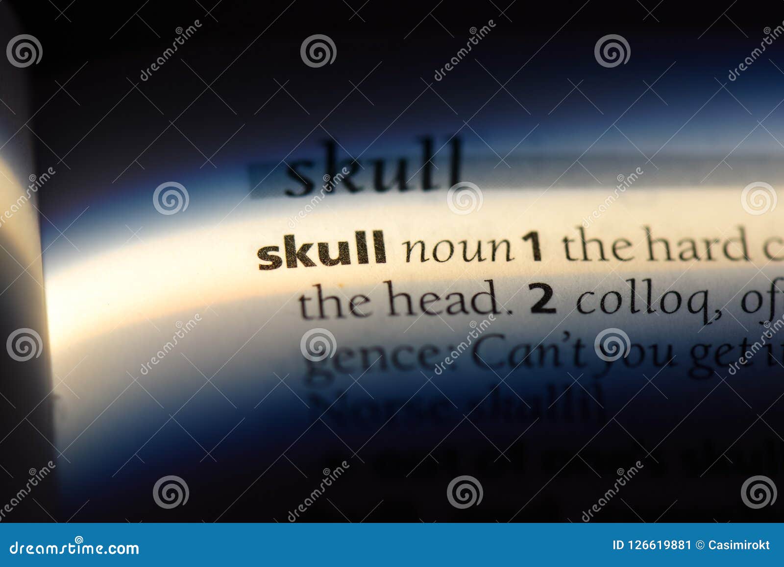 Skull stock image. Image of isolated, word, info, closeup - 126619881