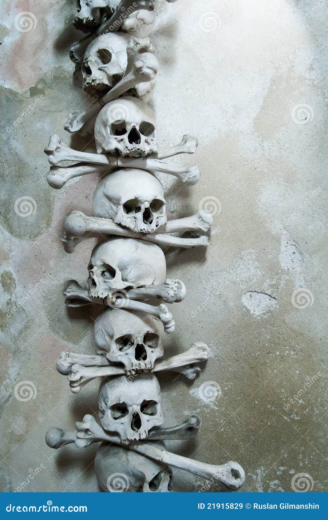 Skulls and bones stock image. Image of creepy, ancient - 21915829