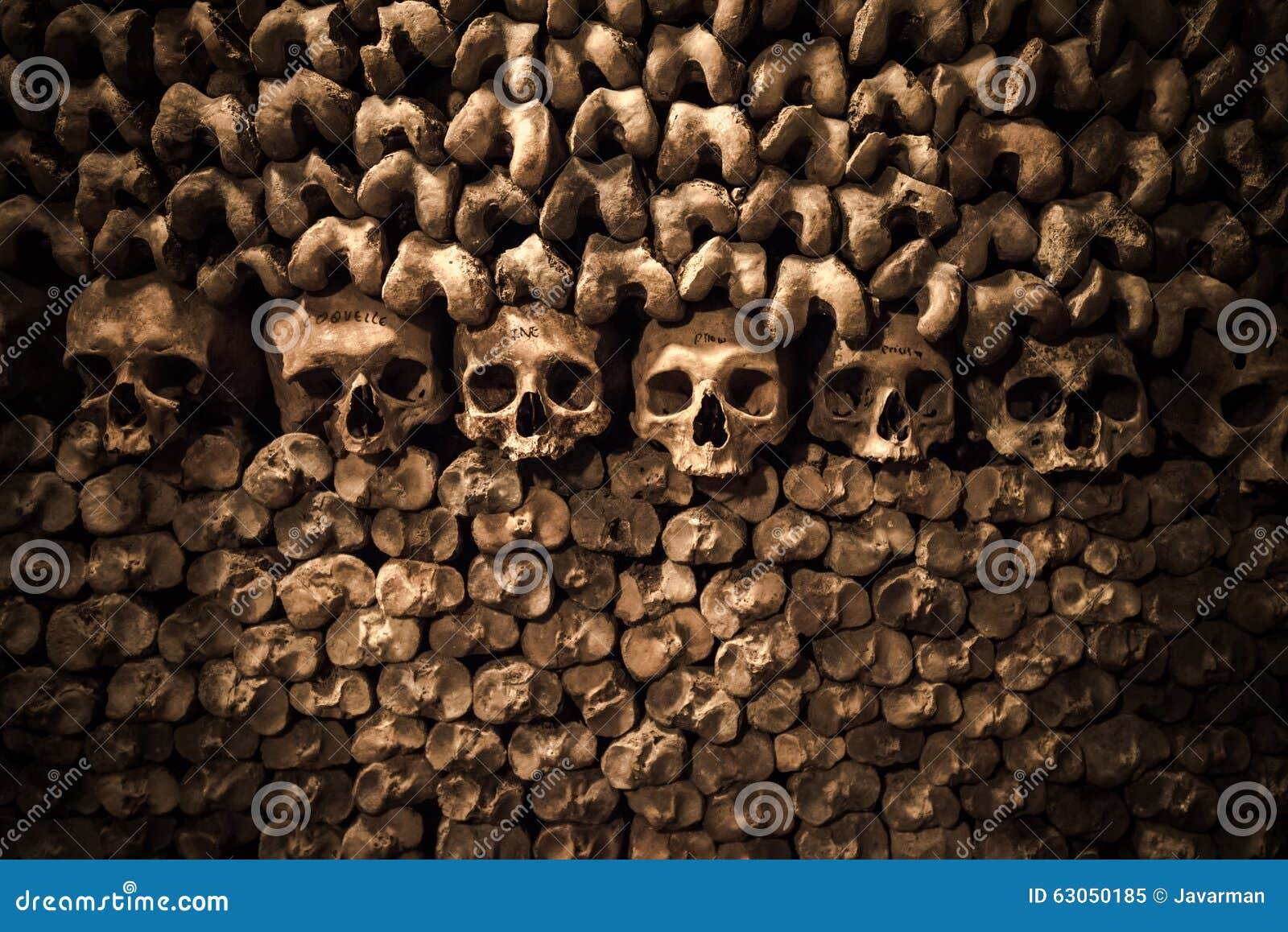 Skulls and Bones in Paris Catacombs Editorial Image - Image of skeleton ...