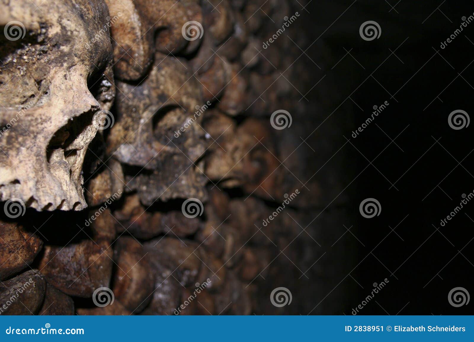 Screaming Skulls Photos - Free & Royalty-Free Stock Photos from Dreamstime