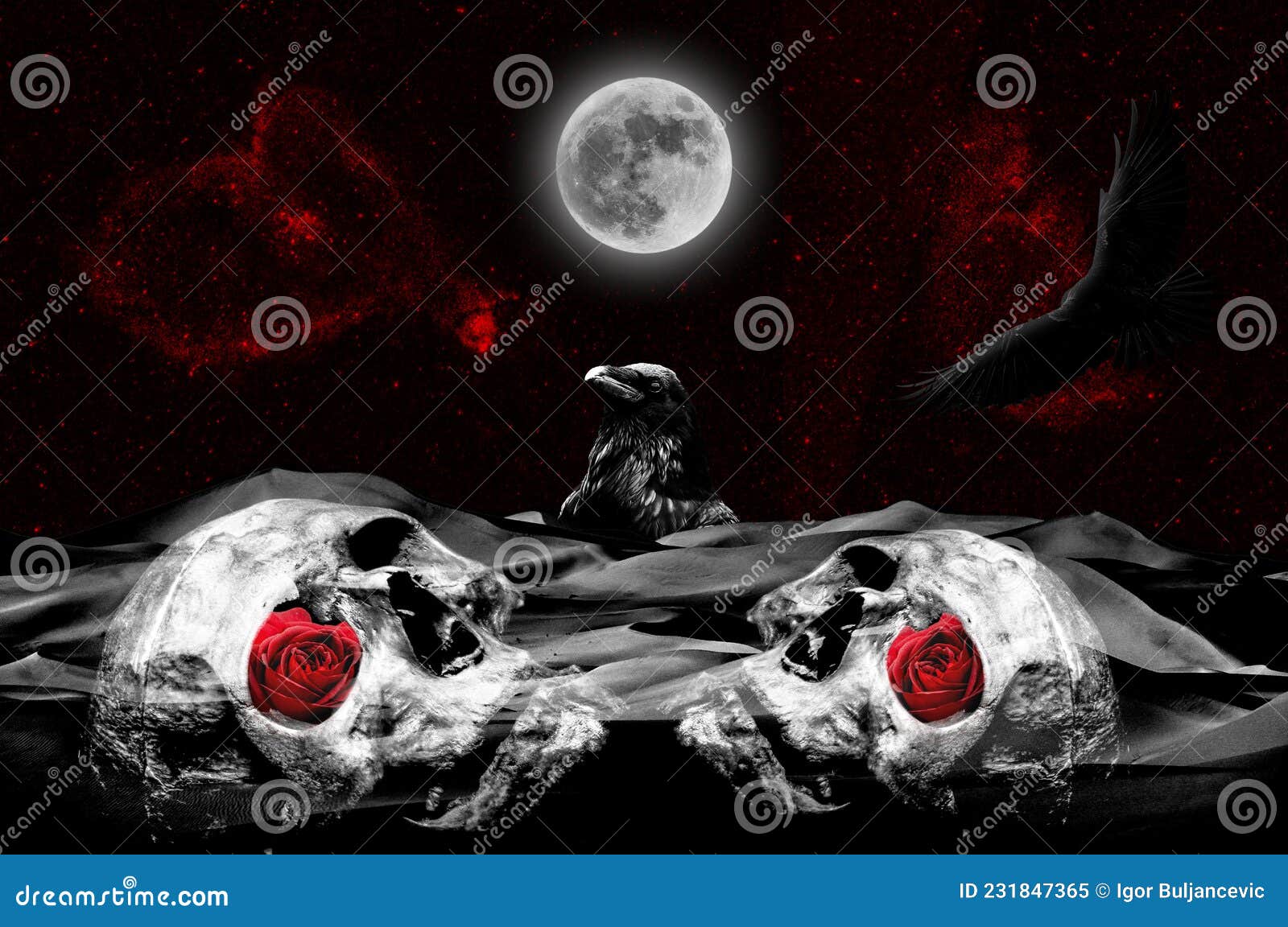 Skull, Rose, Crows and the Moon. Human Skull and Moon in Night Sky ...