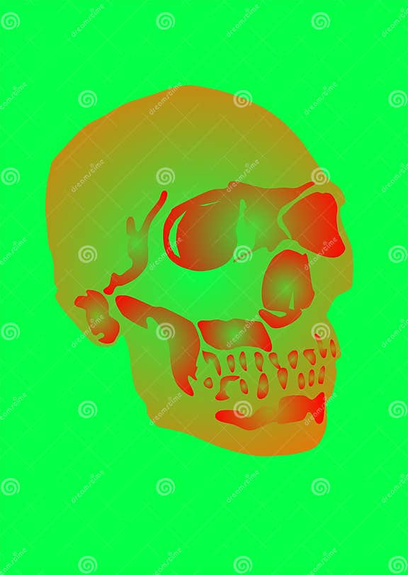 Skully stock vector. Illustration of bone, background - 5648311
