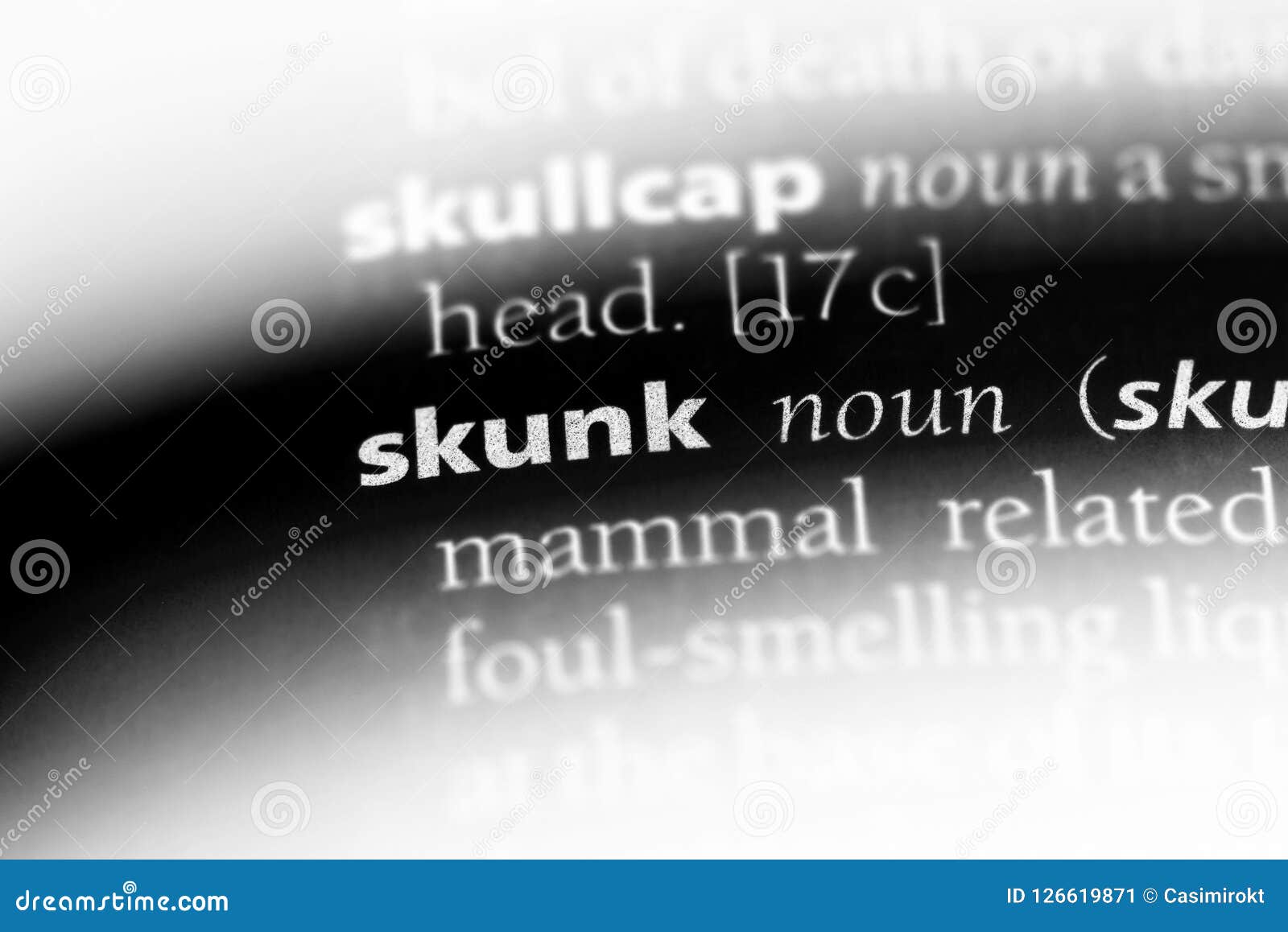 Skunk stock image. Image of macro, definition, closeup - 126619871
