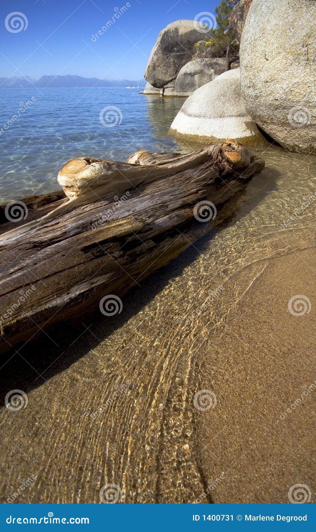 Skunk Beach Stock Photos - Free & Royalty-Free Stock Photos from Dreamstime
