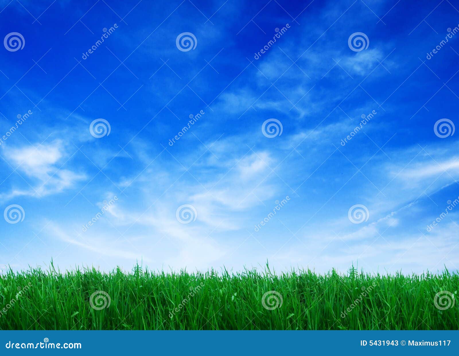 Sky stock image. Image of environment, green, environmental - 5431943