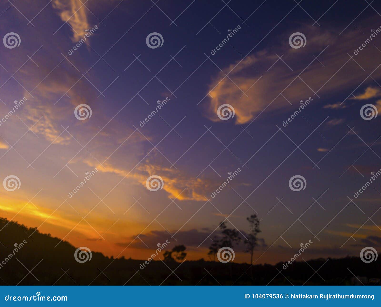 The Sky Above the Trees in the Forest. Stock Photo - Image of palm ...