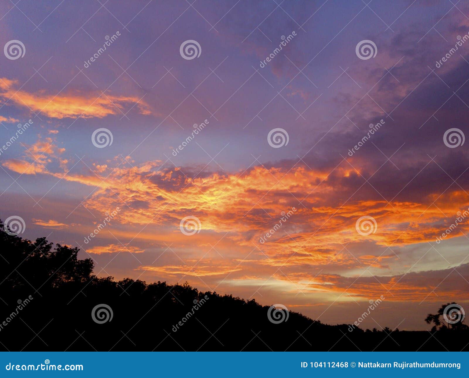 The Sky Above the Trees in the Forest. Stock Photo - Image of cloud ...