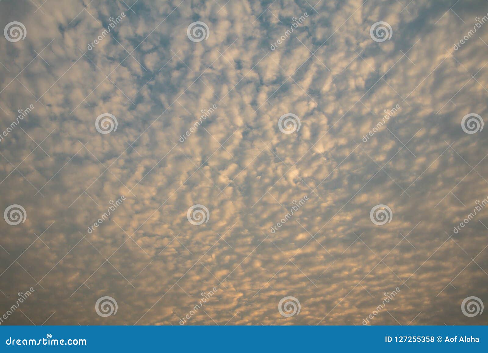 In the Sky with Altocumulus Perlucidus or Stratocumulus Perlucidus ...