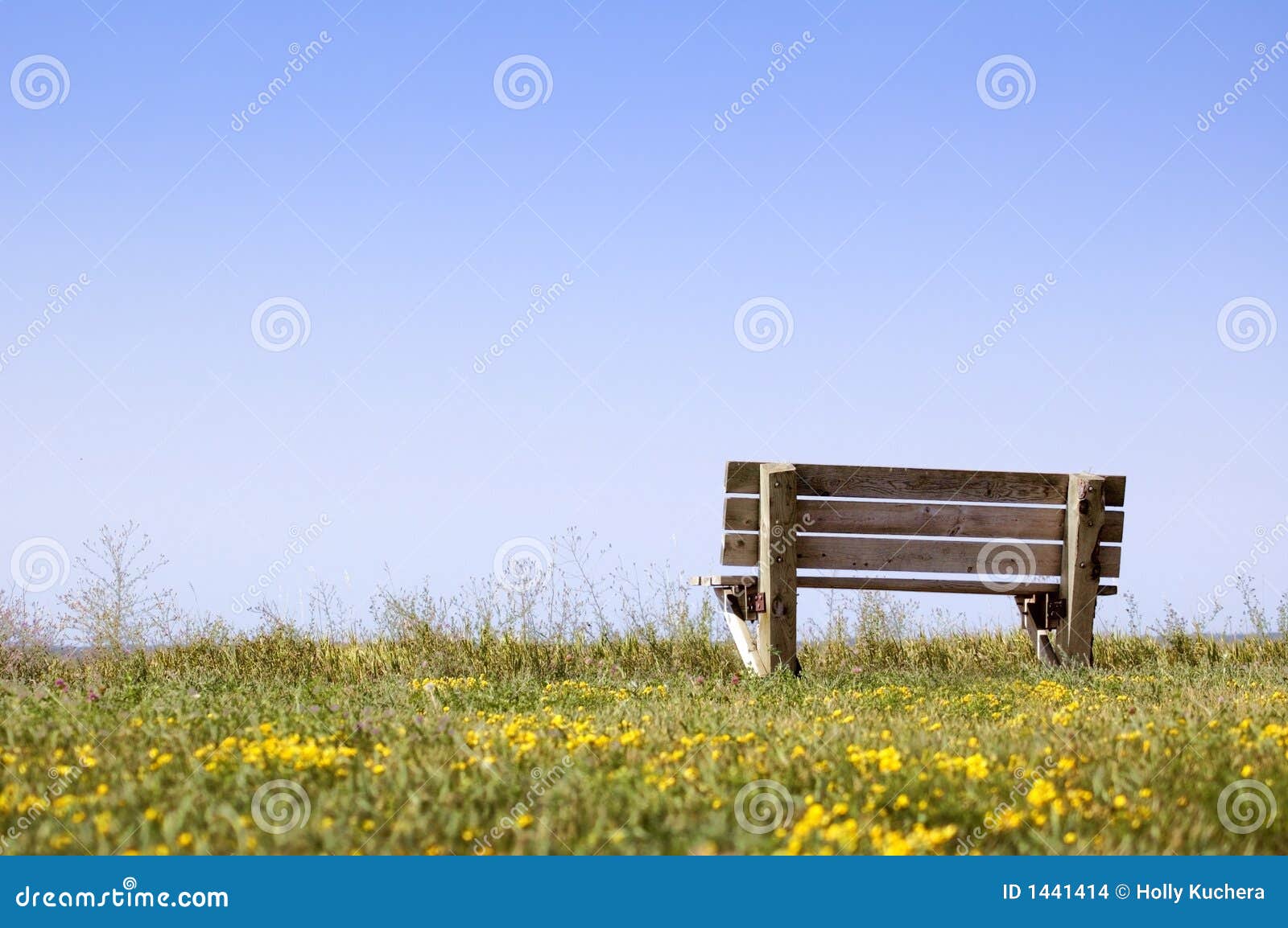 Sky Bench stock photo. Image of space, bench, outdoors - 1441414