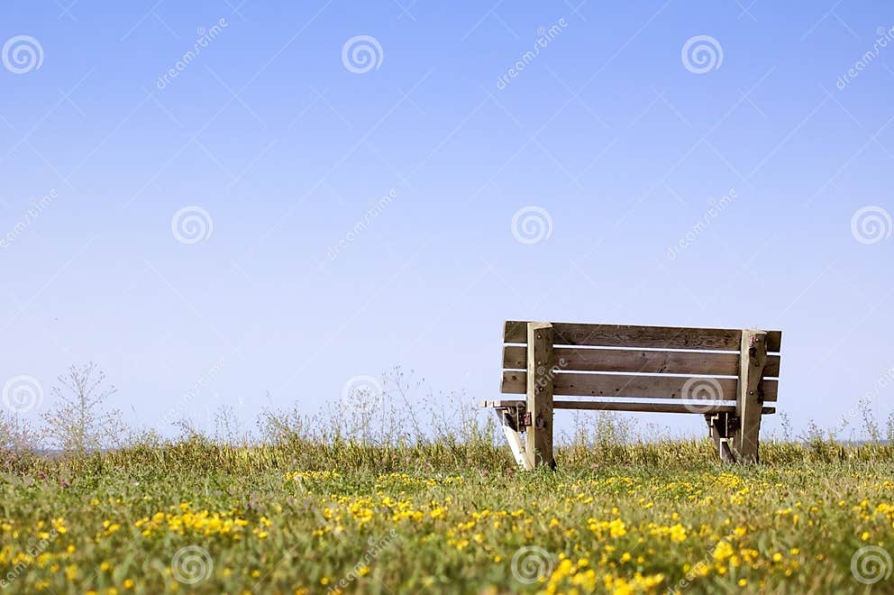 Sky Bench stock photo. Image of space, bench, outdoors - 1441414