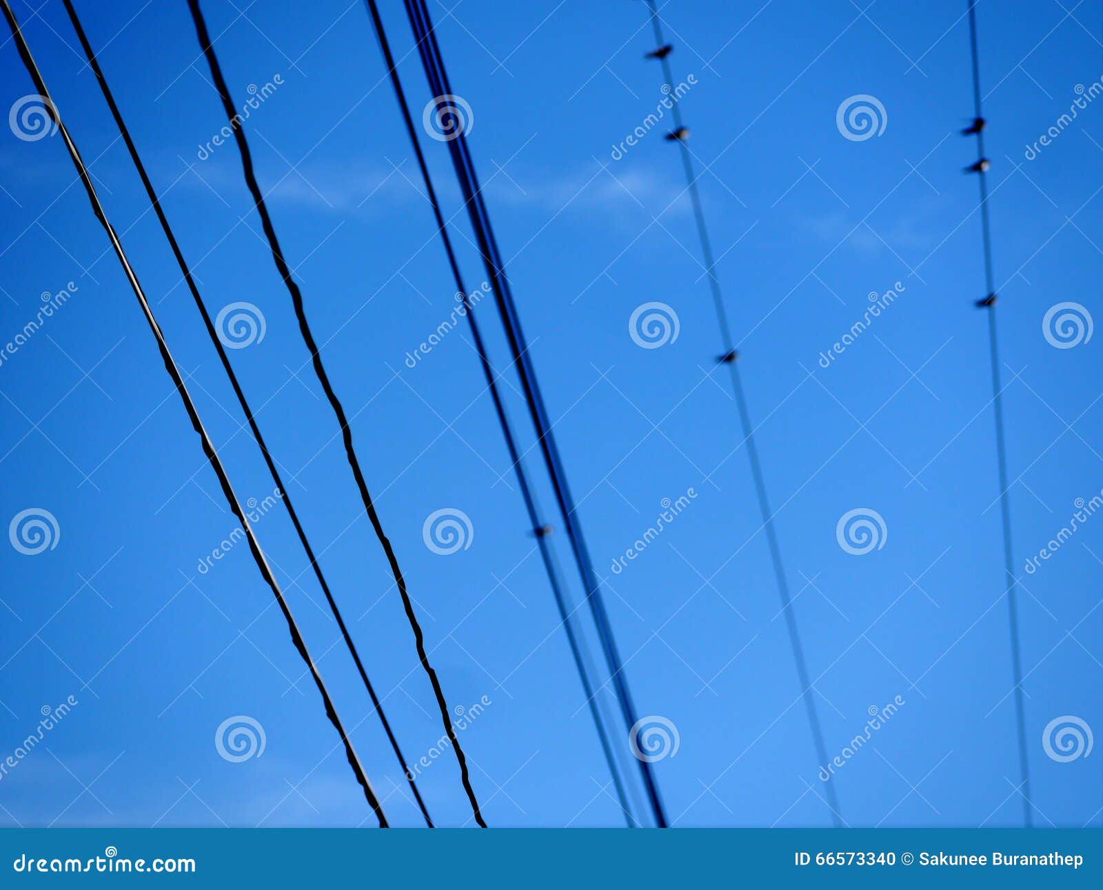 Sky stock photo. Image of blue, line, cable, wire, electirc - 66573340