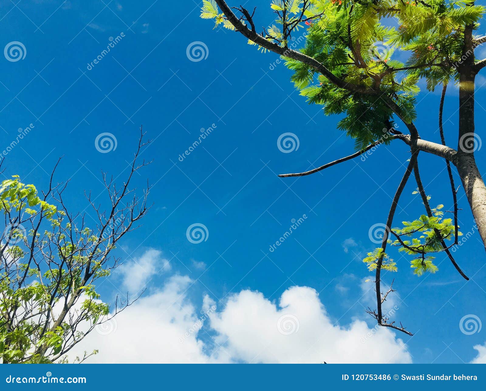 Sky stock photo. Image of rainfall, blue - 120753486
