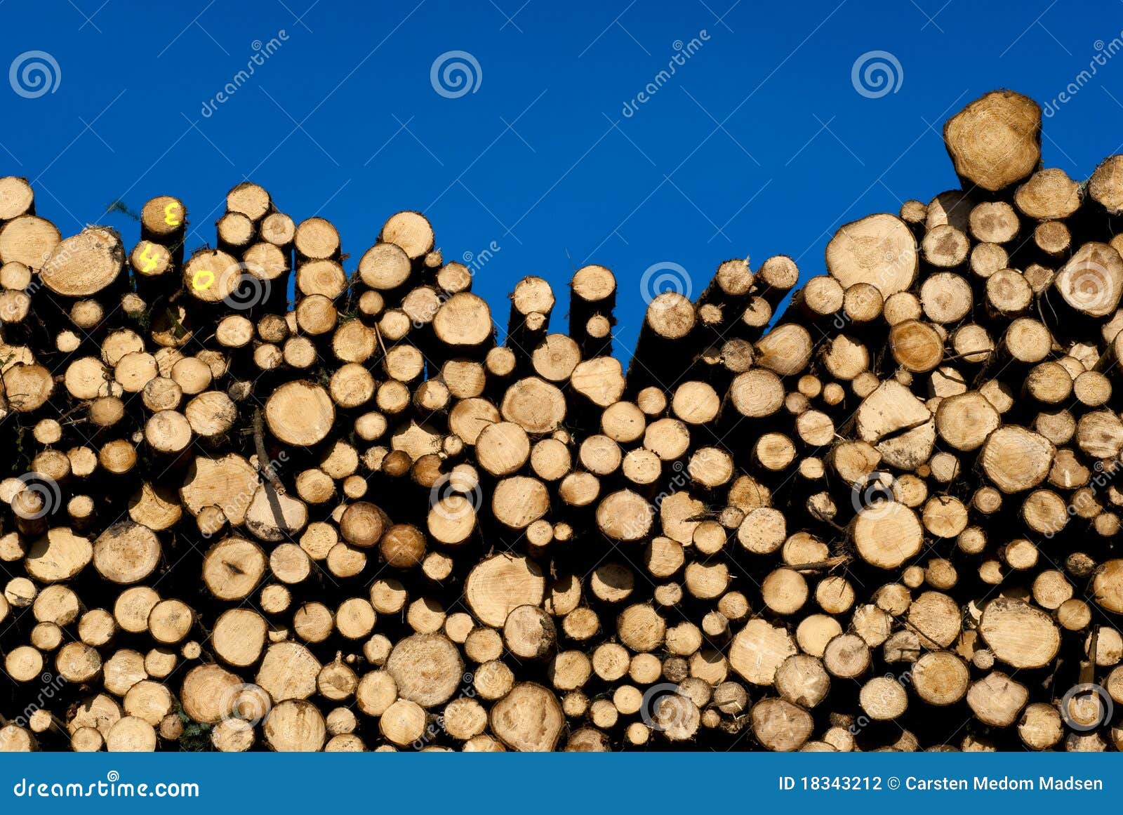 Blue Timber House Facade With White Accent Paint On Stairs And Gaurd ...
