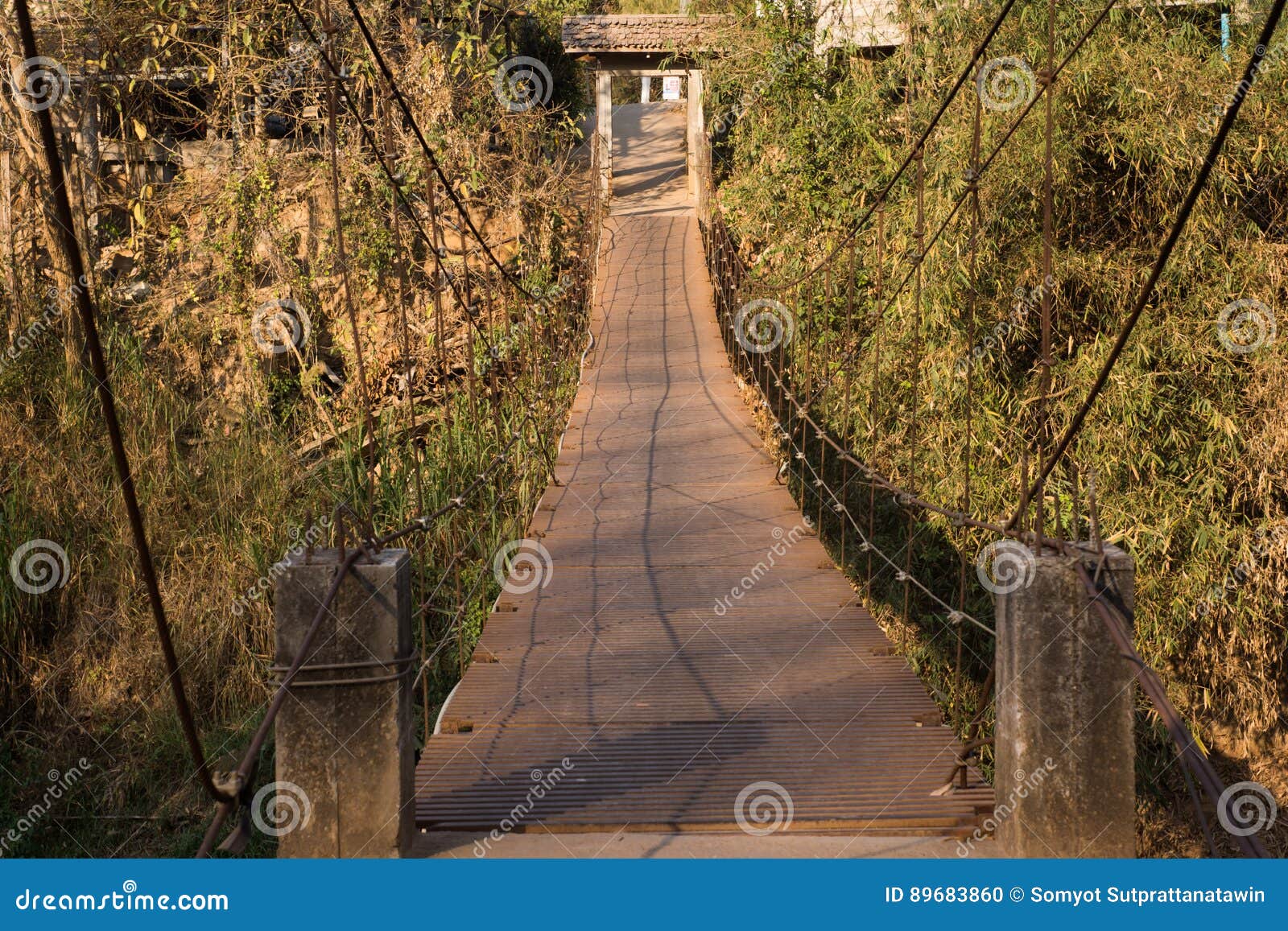 Sky bridge jungle stock photo. Image of jungle, river - 89683860
