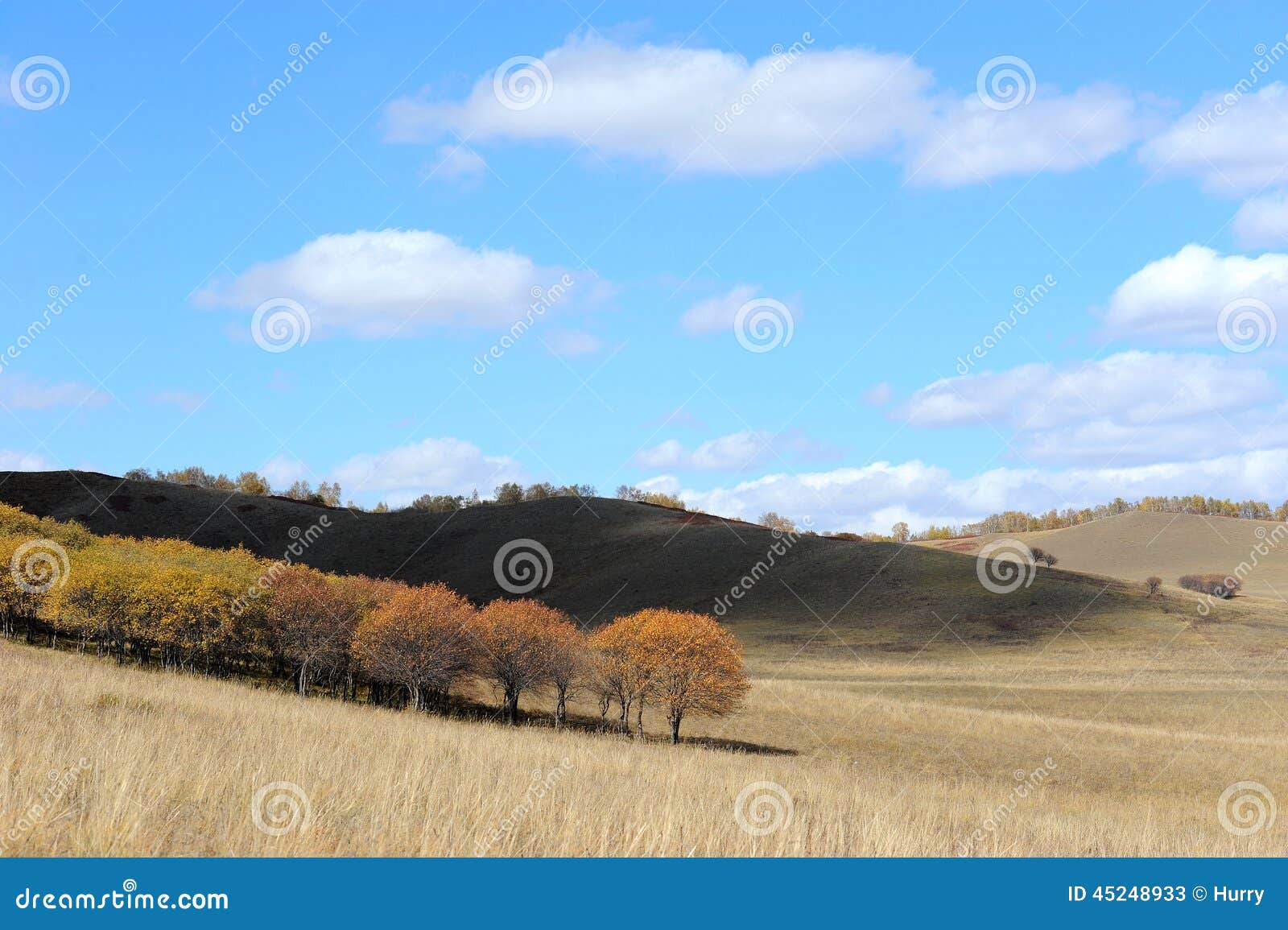 Sky and Cloud Above Upland with Autumn Trees Stock Image - Image of ...