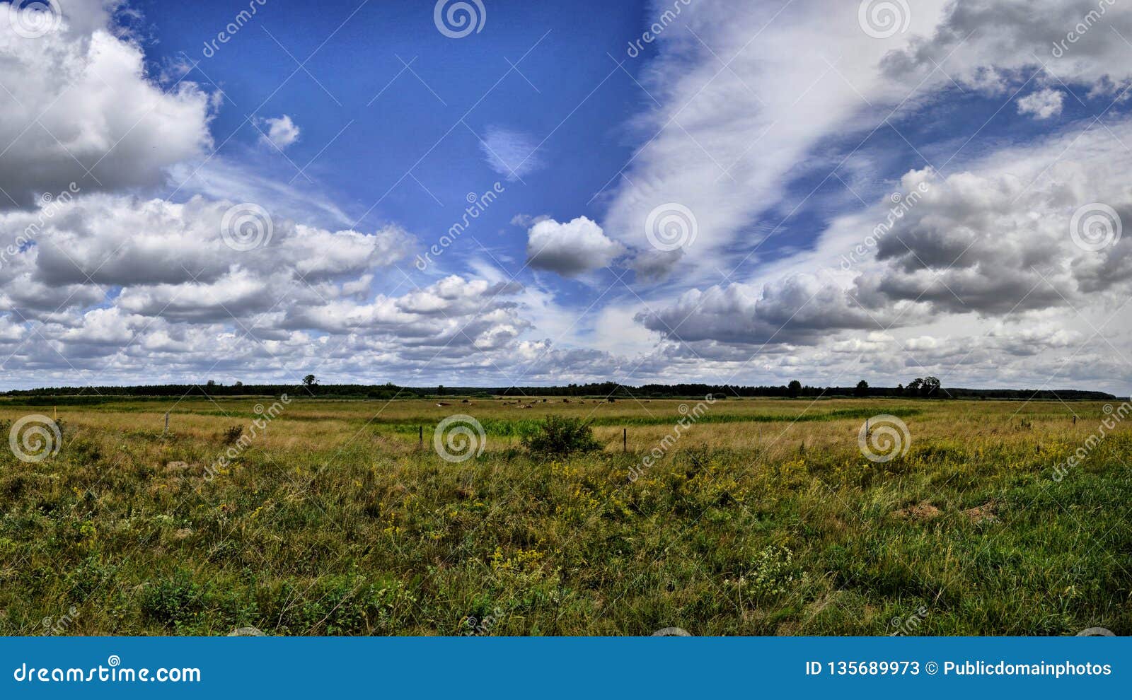 Sky, Cloud, Grassland, Ecosystem Picture. Image: 135689973