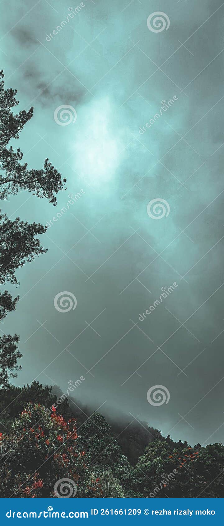 Sky and cloud after rain stock image. Image of cloud - 261661209