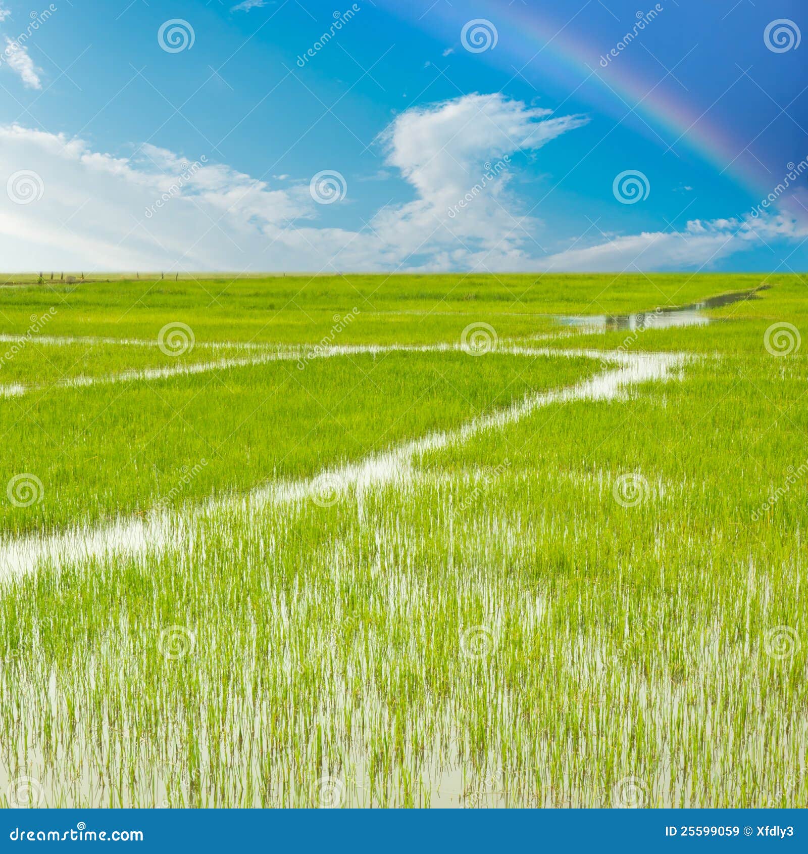 Sky Cloud and Wetlands Background Image Stock Image - Image of hina ...
