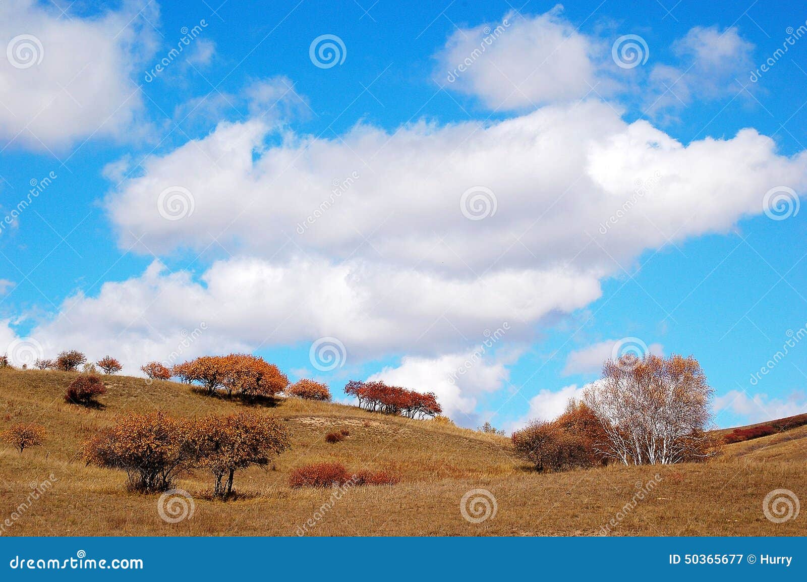 Sky and Clouds Above Upland with Autumn Trees Stock Image - Image of ...