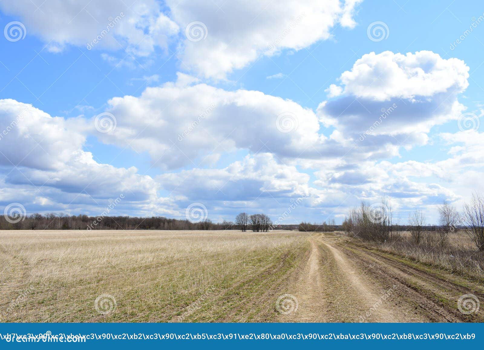 Sky, Clouds. Boundless Field. Rural Road. Forest in the Distance Stock ...